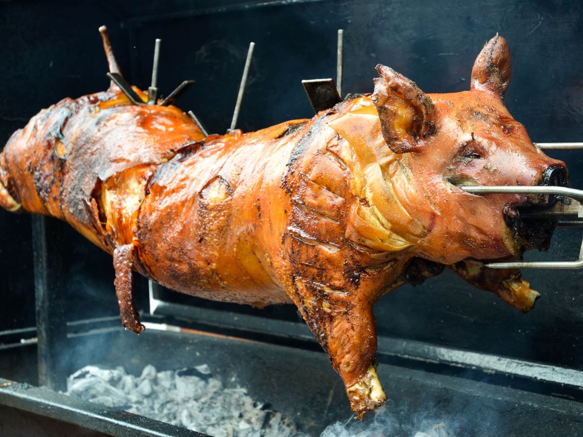 HOG / BBQ – Occasions